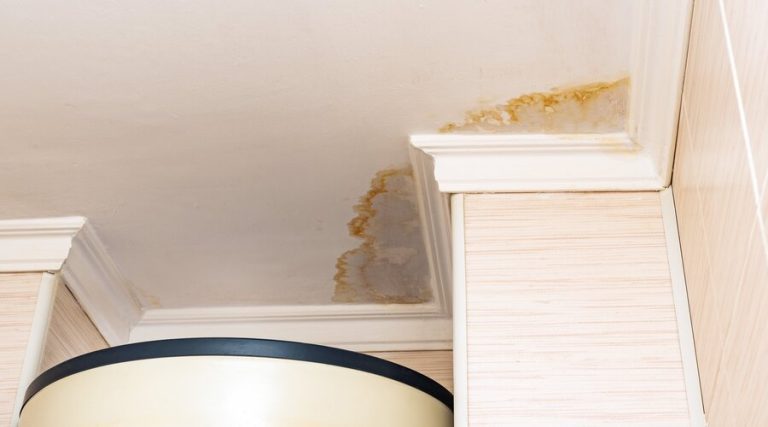 How to Remove Water Stains on Walls & Ceilings